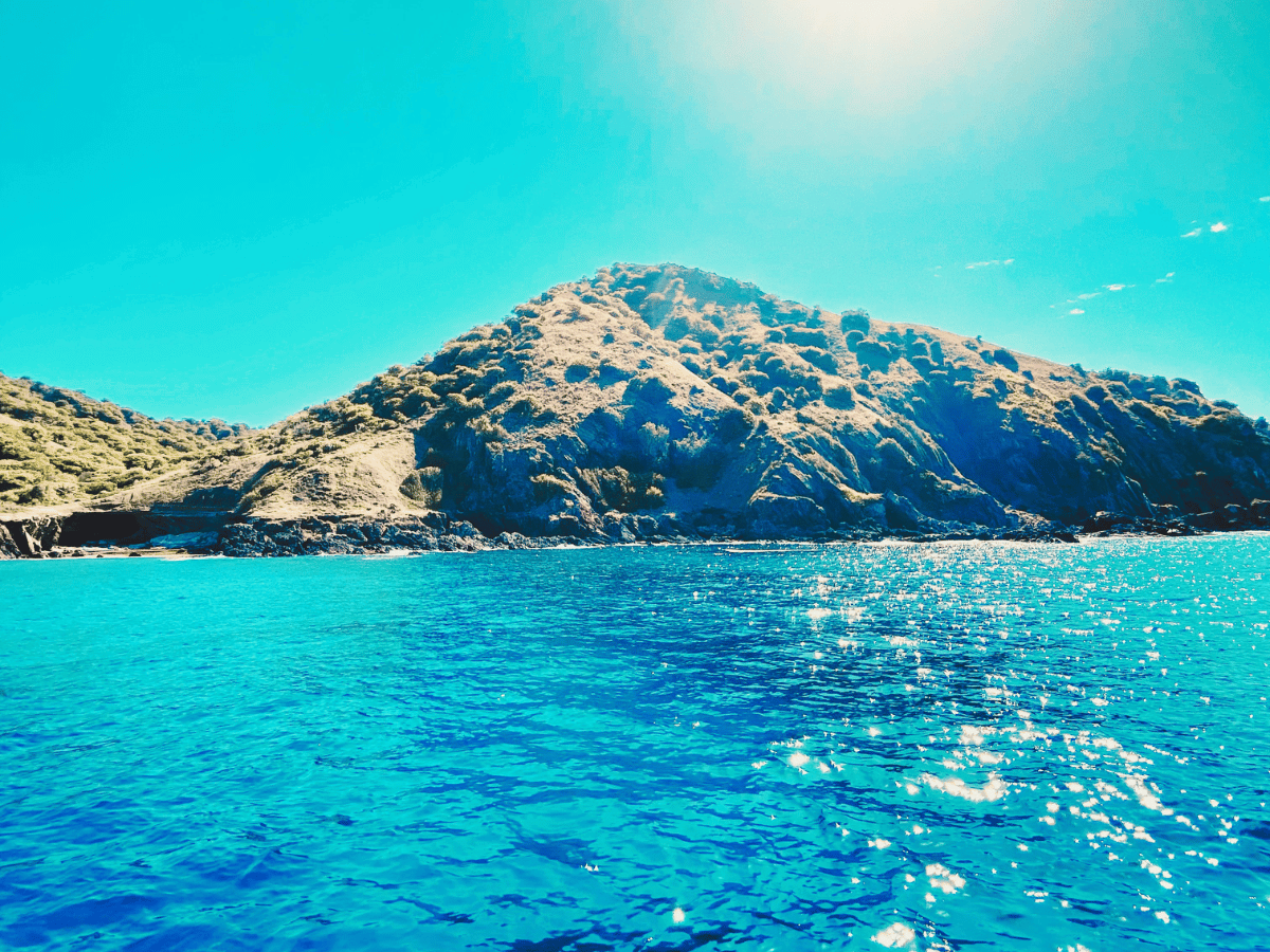 The Best Puerto Rico Diving is in Rincon! - REESE H.