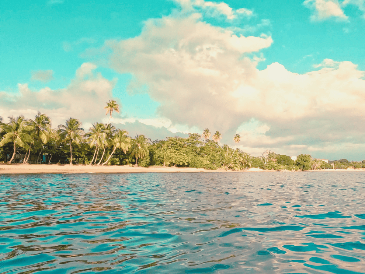 The Best Puerto Rico Diving is in Rincon! - REESE H.