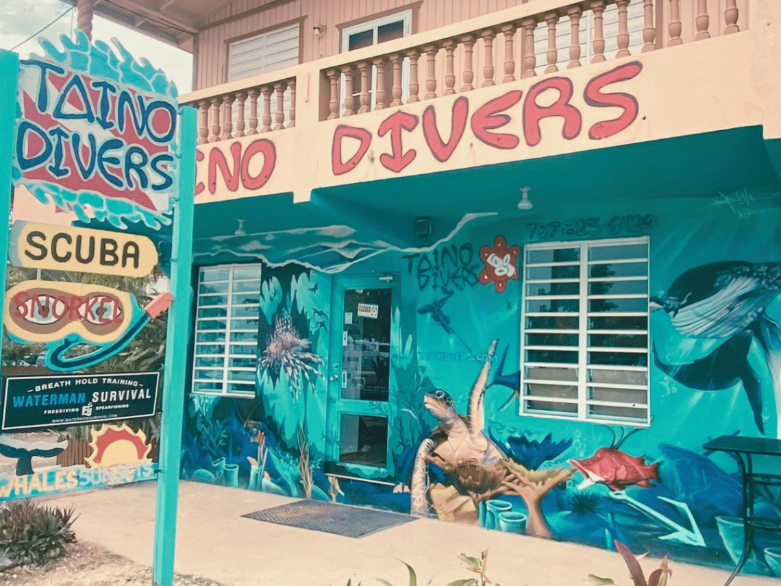 The Best Puerto Rico Diving is in Rincon! - REESE H.