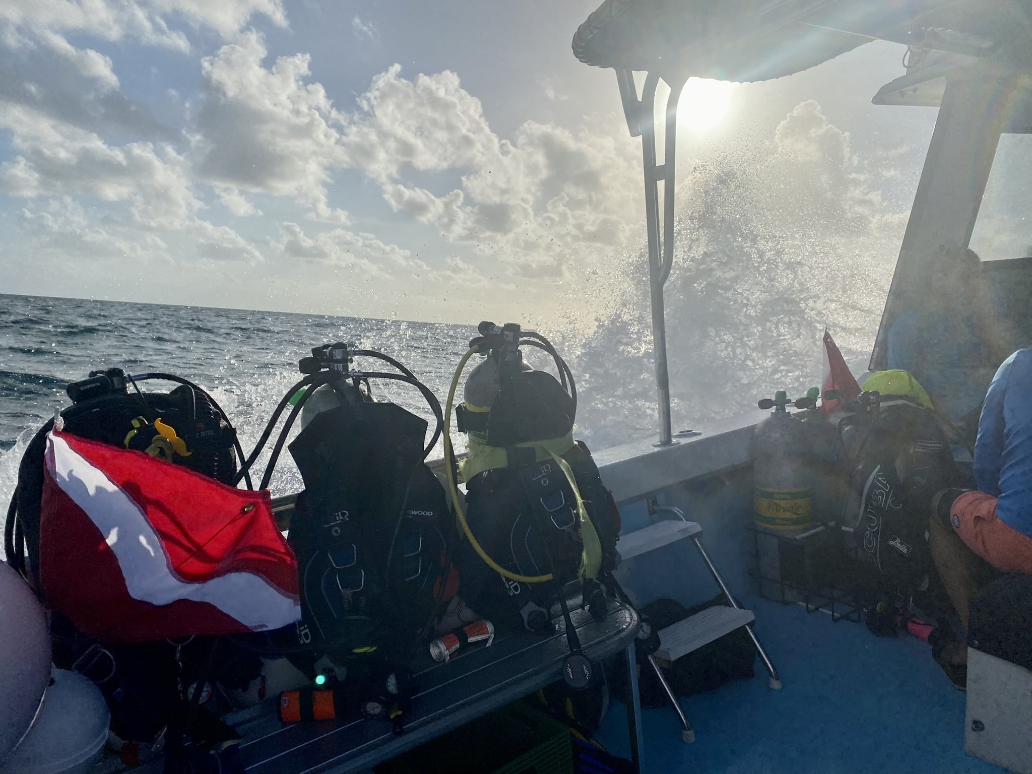 8 Reasons to go Scuba Diving in Islamorada FL (Updated 2024)