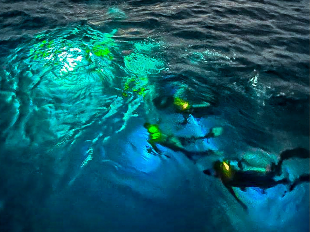 SCUBA Diving Beginner Tips! 6 Things You Need to Know! - REESE H.