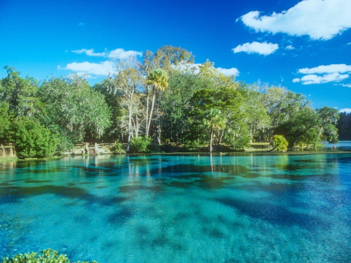 The Best Place To Swim With Manatees in Florida - REESE H.